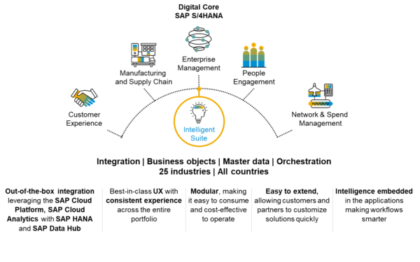 Rise with Sap | SAP S/4HANA Implementation India | In2IT EBS